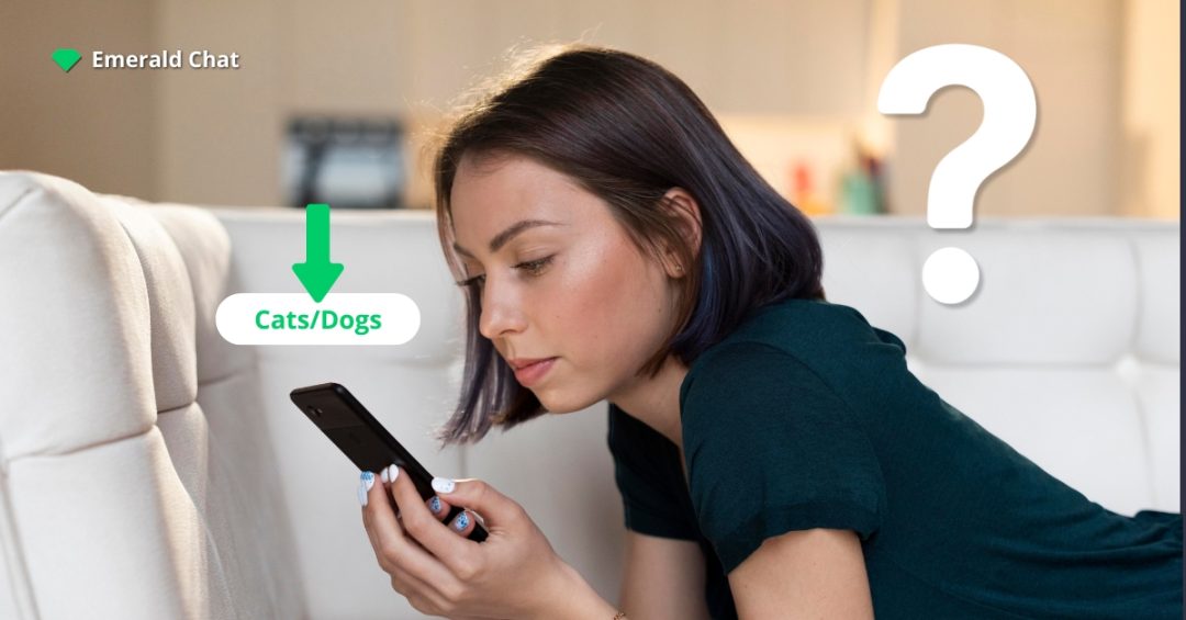 How to Make the Most of Emerald Chat Tags and Interests